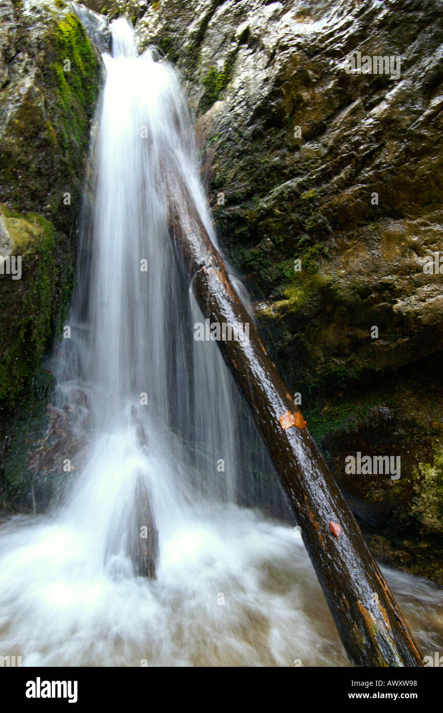 Waterfalls of autumnal Horne Diery Gorge, Mala Fatra mountain range ...