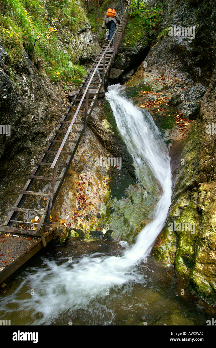 Ladders and Waterfalls of autumnal Horne Diery Gorge, Mala Fatra ...