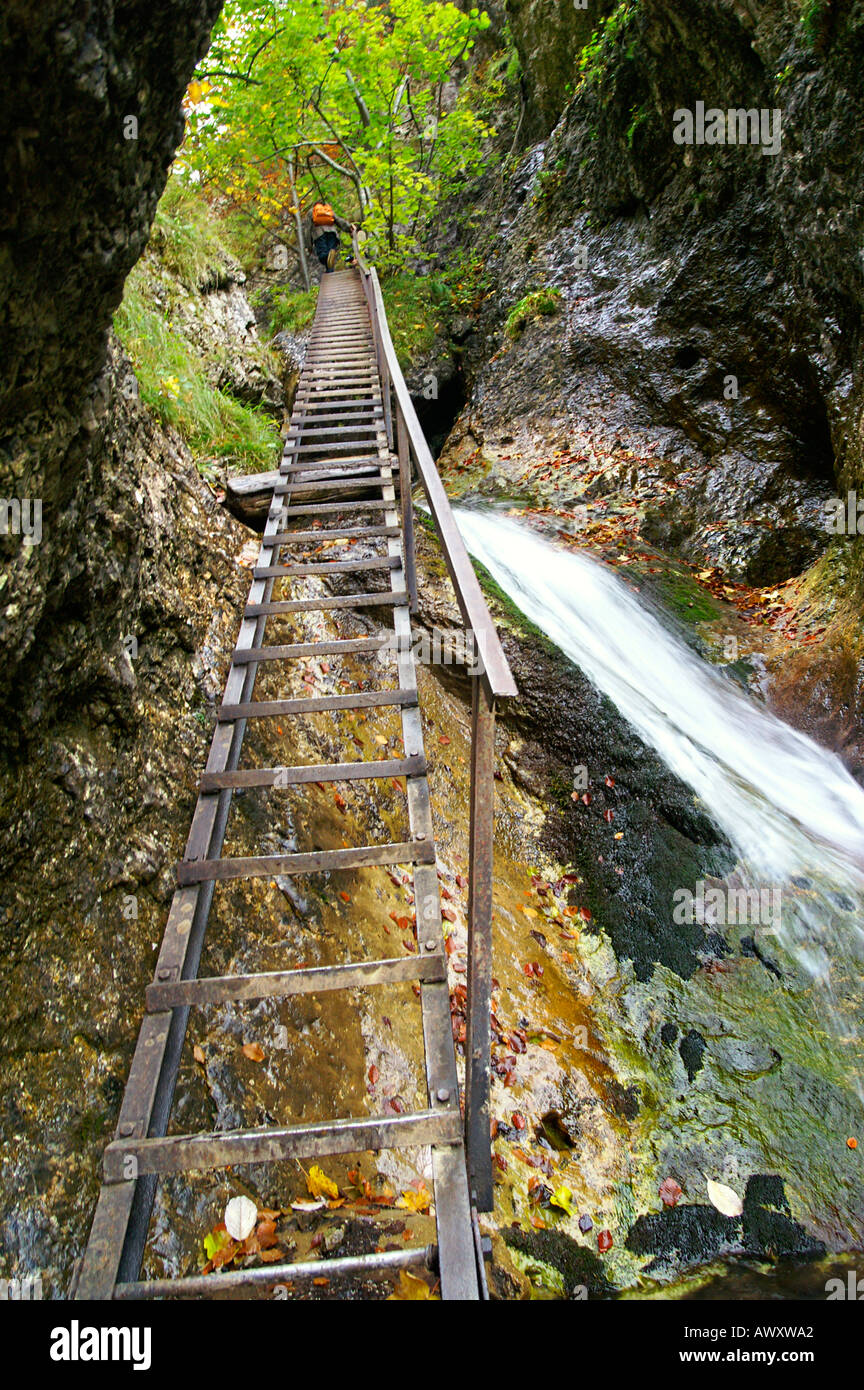 Ladders and Waterfalls of autumnal Horne Diery Gorge, Mala Fatra ...