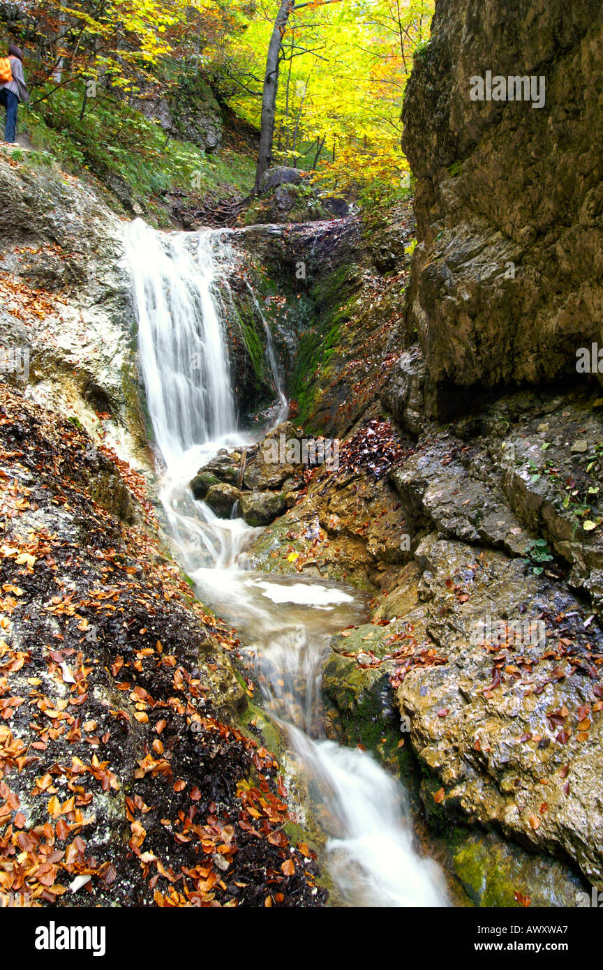 Waterfalls of autumnal Horne Diery Gorge, Mala Fatra mountain range ...