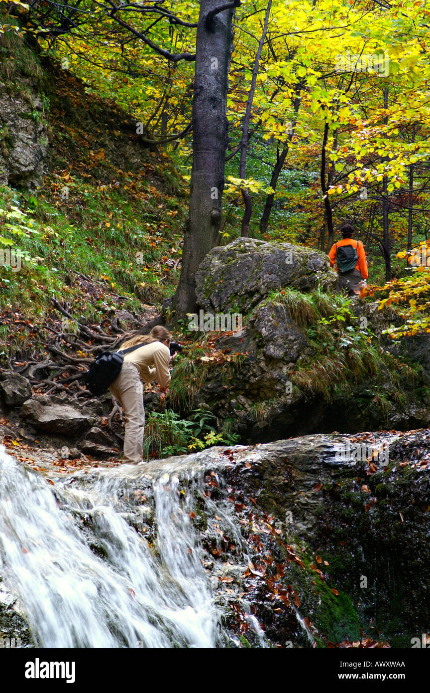 Horne diery gorge hi-res stock photography and images - Alamy