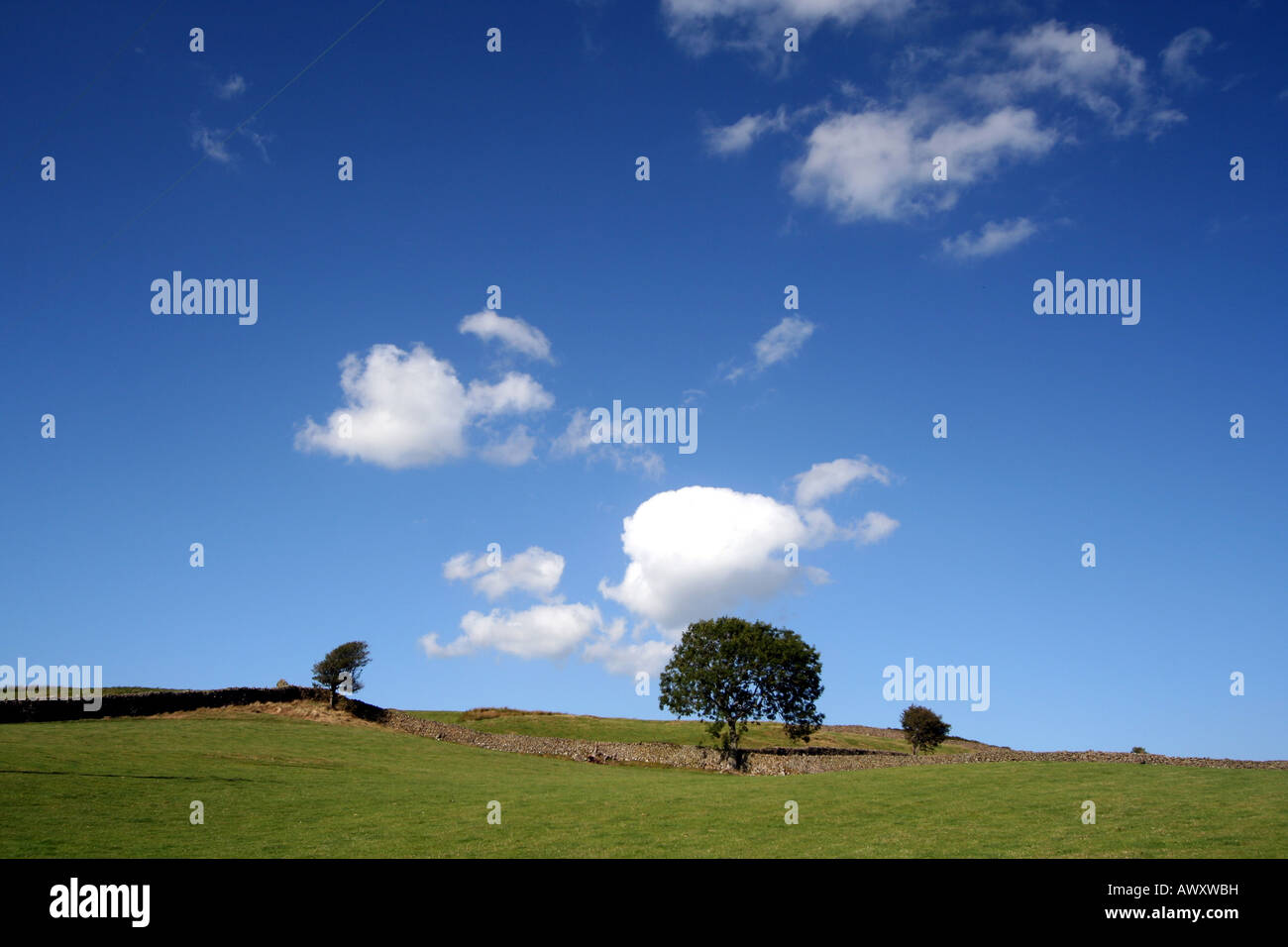 Torver common cumbria hi-res stock photography and images - Alamy