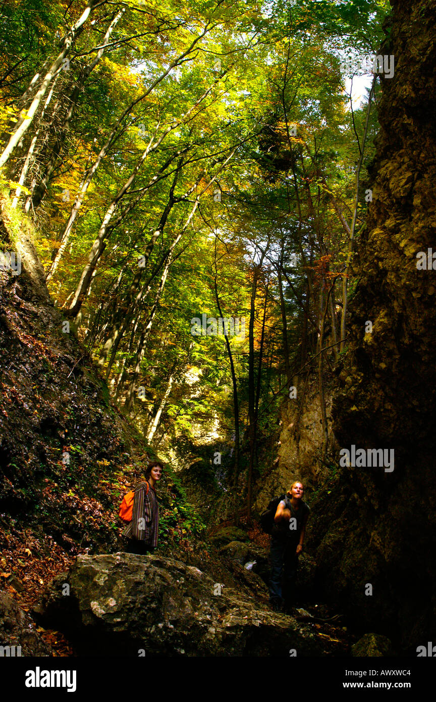 Colourful forest of autumnal Horne Diery Gorge, Mala Fatra mountain ...