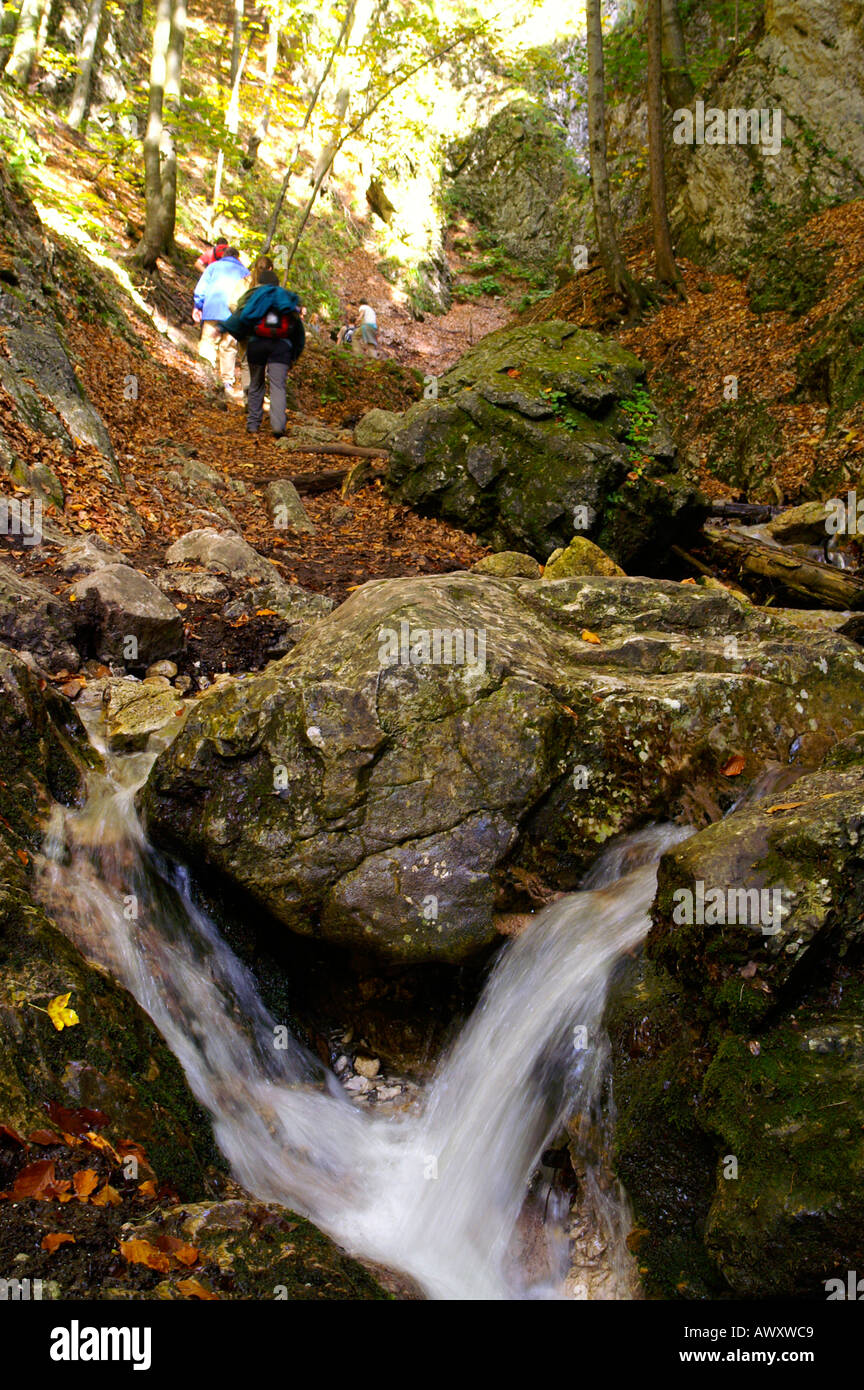 Waterfalls of autumnal Horne Diery Gorge, Mala Fatra mountain range ...