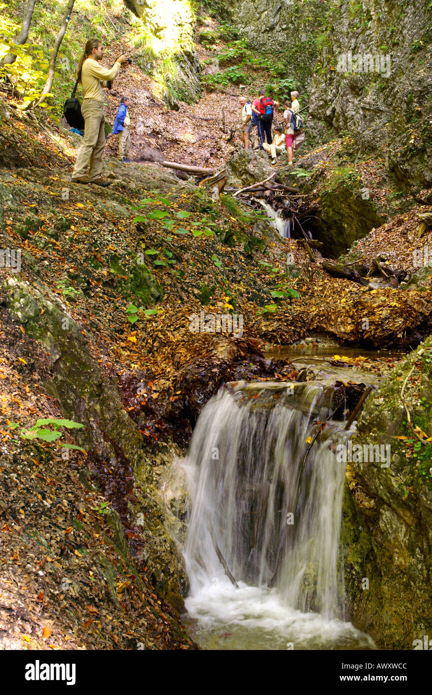 Waterfalls of autumnal Horne Diery Gorge, Mala Fatra mountain range ...
