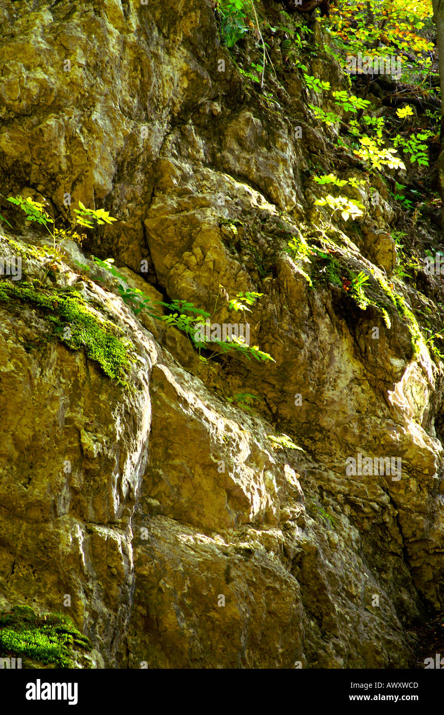 Horne diery gorge hi-res stock photography and images - Alamy