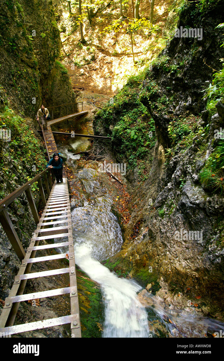 Ladders and Waterfalls of autumnal Horne Diery Gorge, Mala Fatra ...