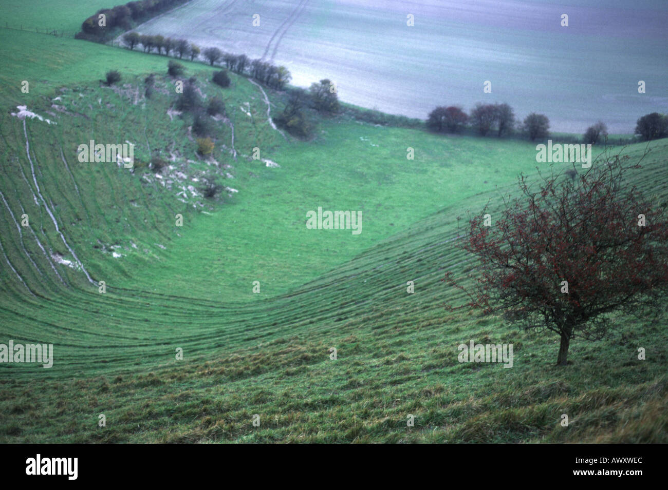 Coombe feature on a chalk hill in the South Downs near Lewes East ...
