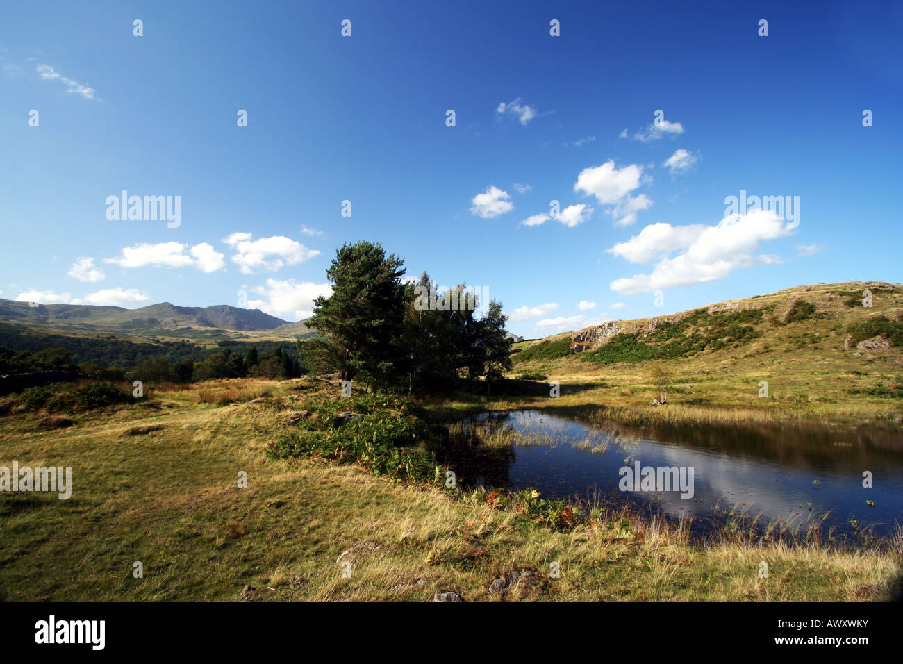 Kelly Hall Tarn,Torver Common, Coniston, Lake District, England Stock ...