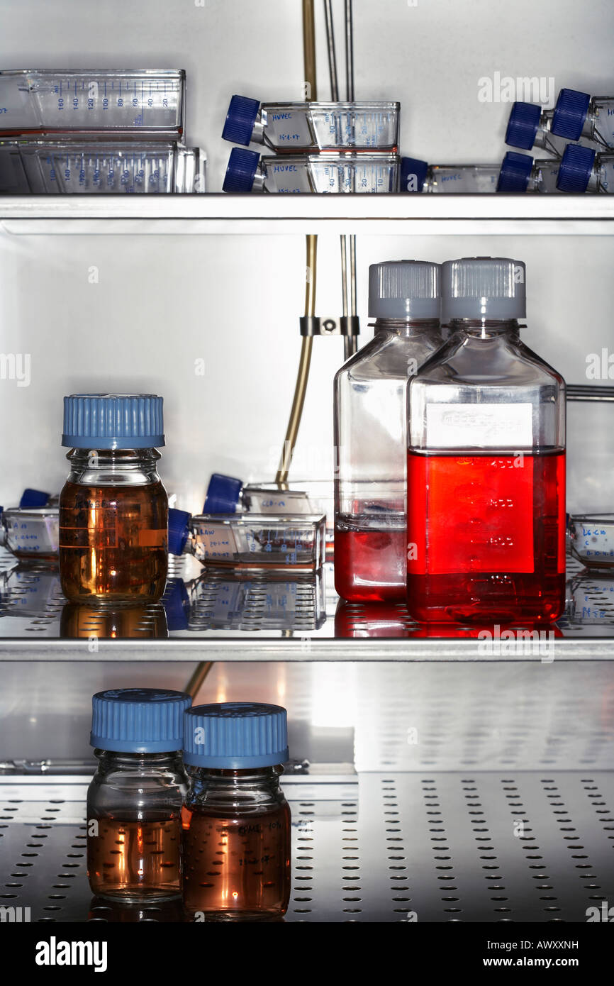 Bottles and containers in laboratory fridge Stock Photo - Alamy