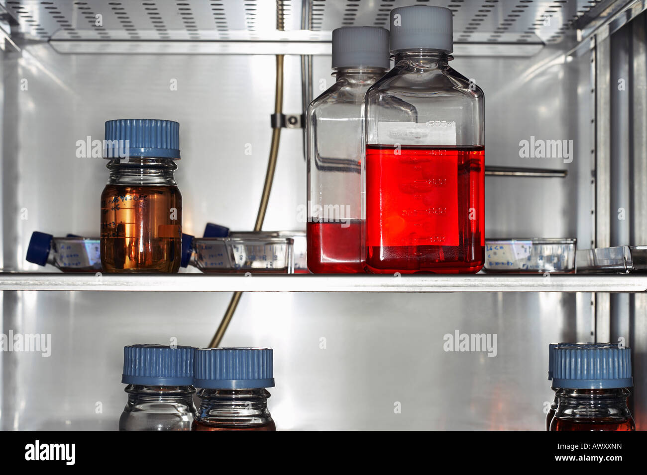 Specimen containers hi-res stock photography and images - Alamy