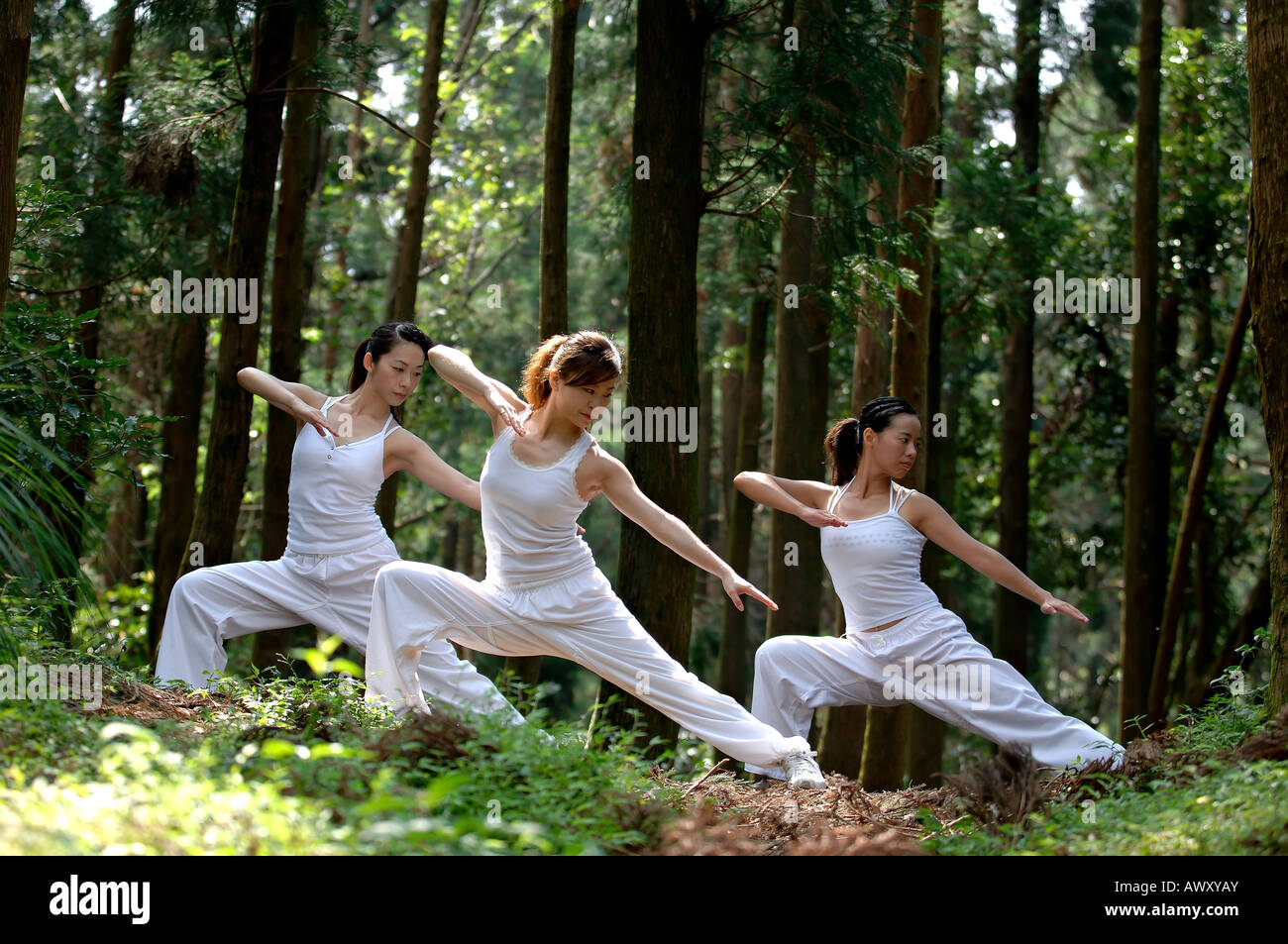 young women practice yoga in forest Stock Photo - Alamy