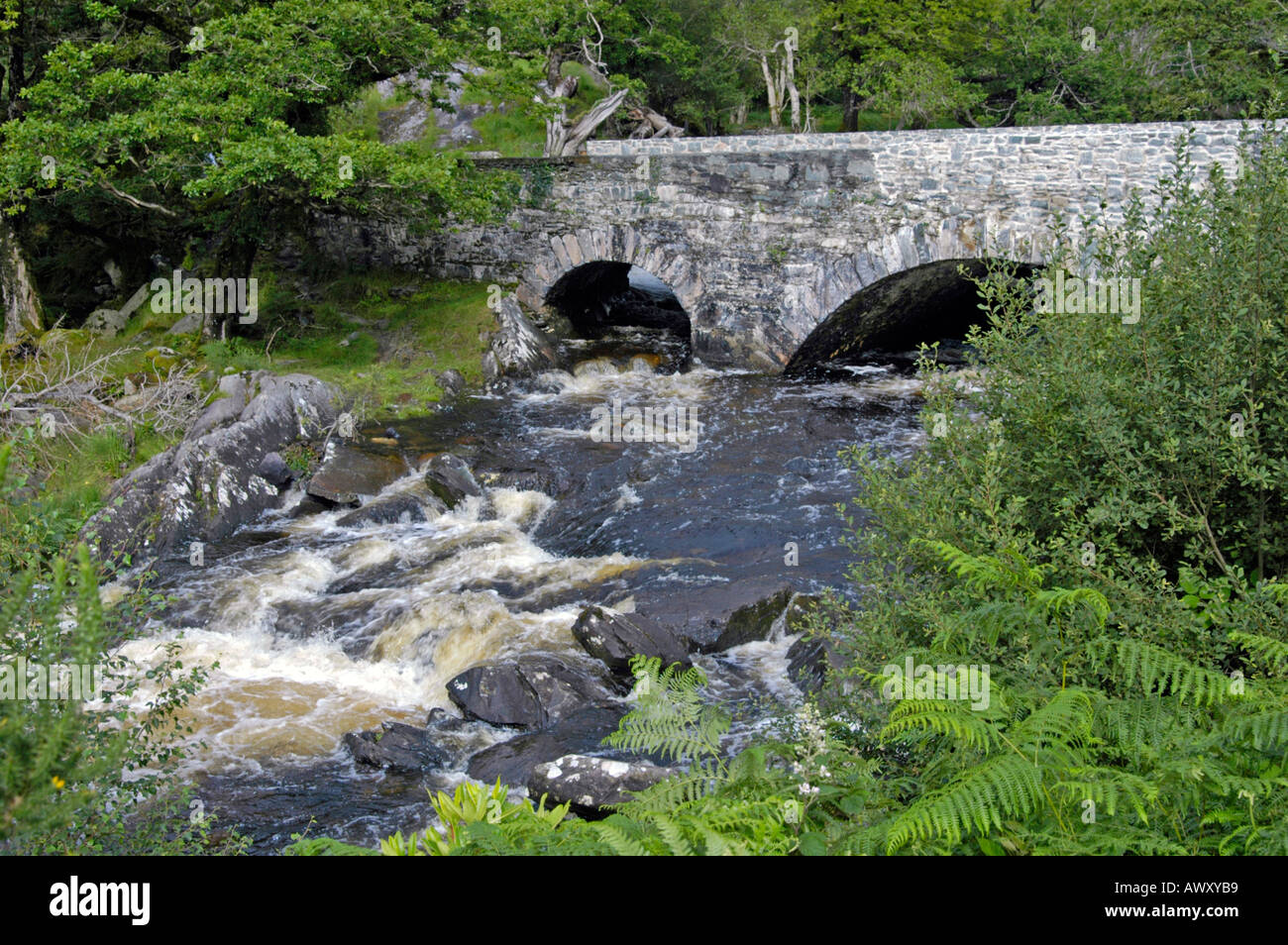 Galways Bridge viewpoint above the lakes of Killarney, County Kerry ...