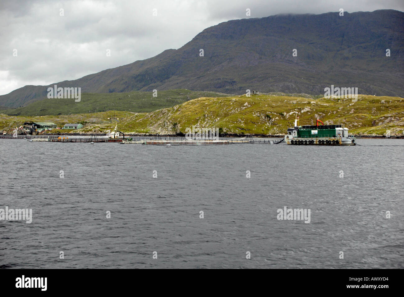 Fish farming ireland hi-res stock photography and images - Alamy