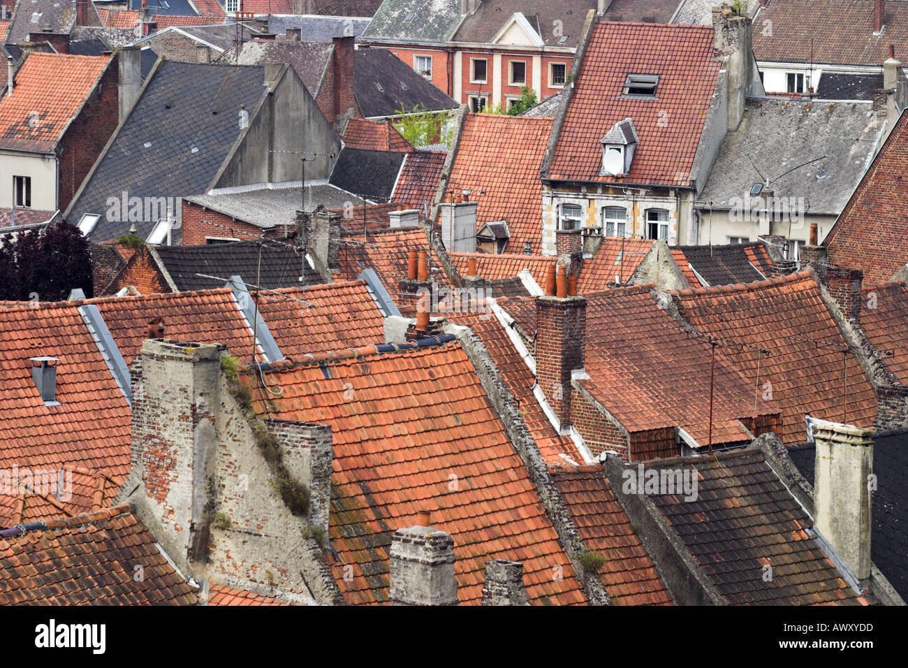 Ternoise hi-res stock photography and images - Alamy