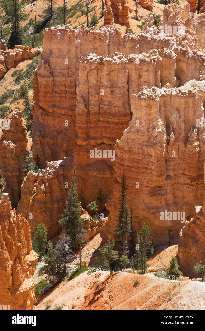 Bryce Amphitheatre from Inspiration Point, Bryce Canyon Stock Photo - Alamy
