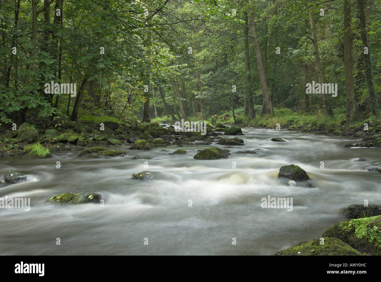 River Esk North East Yorkshire October Stock Photo - Alamy