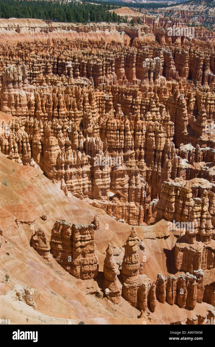 Bryce Amphitheatre from Inspiration Point, Bryce Canyon Stock Photo - Alamy
