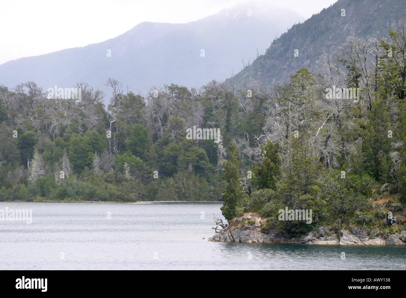 Lago nahuel bariloche argentina hi-res stock photography and images - Alamy