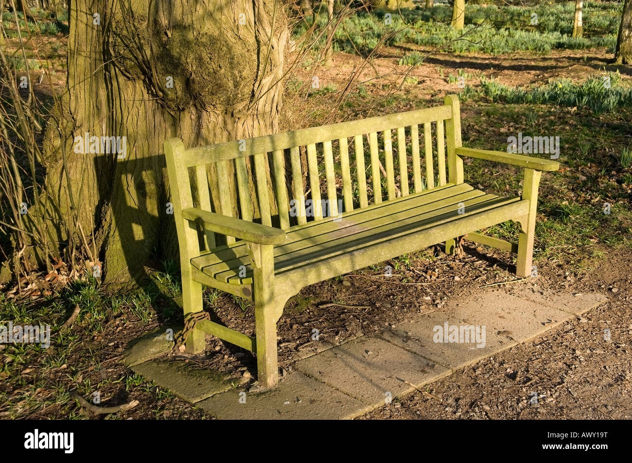 A wooden bench in a wood in the countryside Stock Photo - Alamy