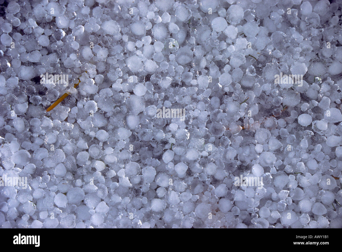 Hail stone hi-res stock photography and images - Alamy