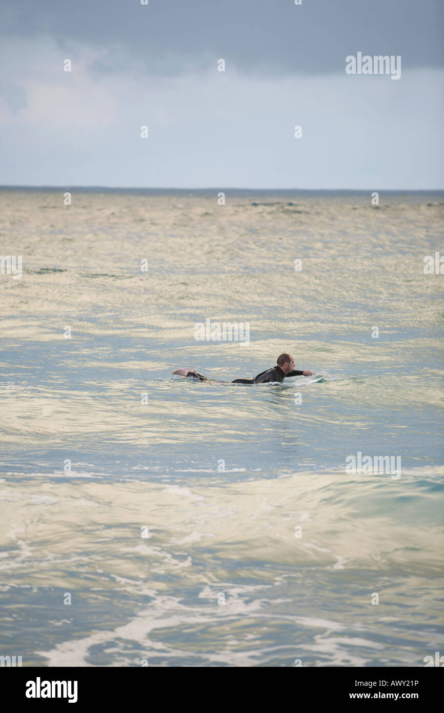 Surfer paddling out in sea Stock Photo - Alamy Surfer paddling out in sea Stock Photo - Alamy