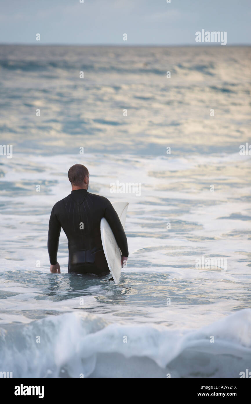 Surfer carrying surfboard into sea, back view Stock Photo - Alamy