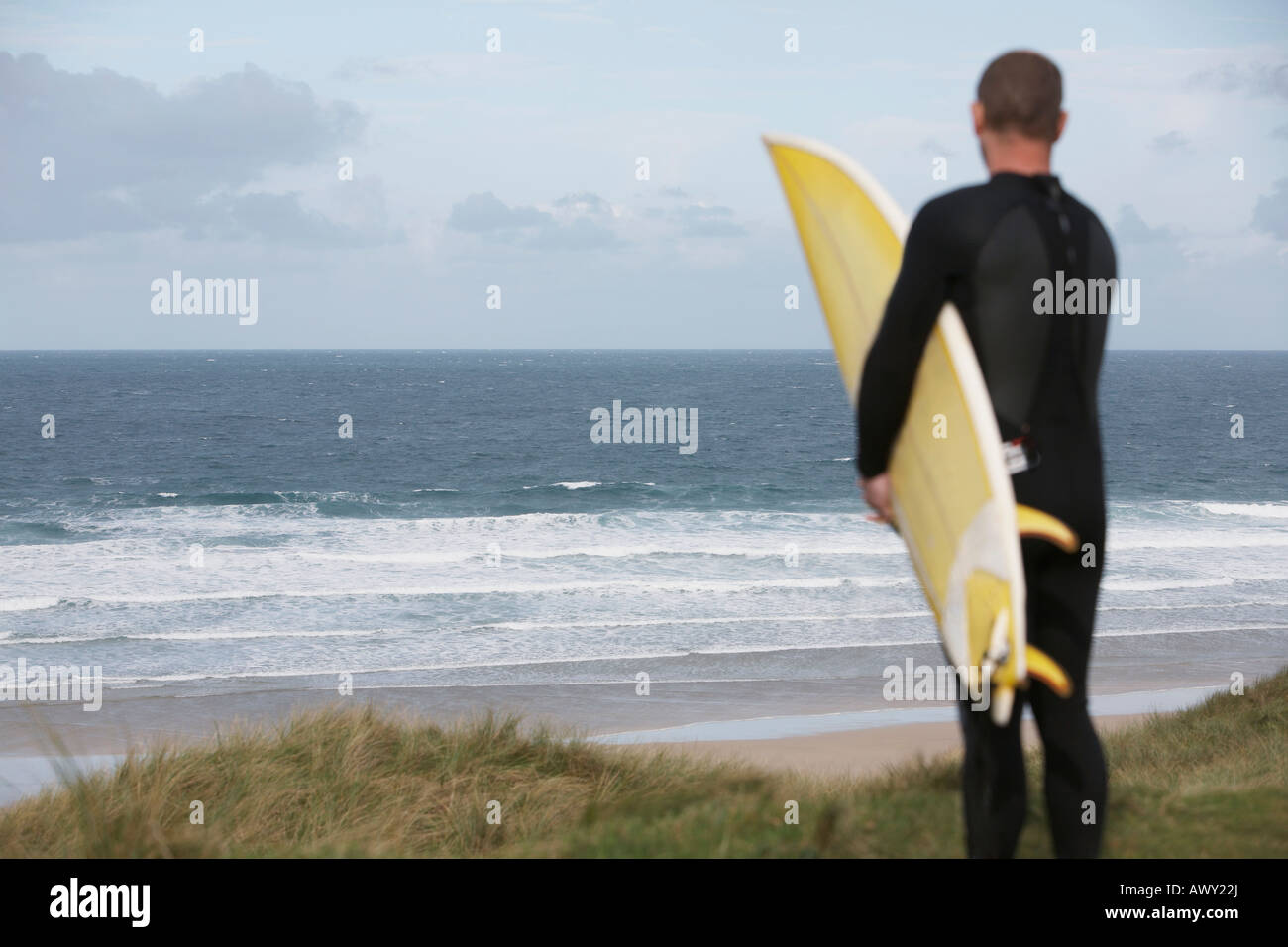 Back view surfer surfboard looking hi-res stock photography and images ...