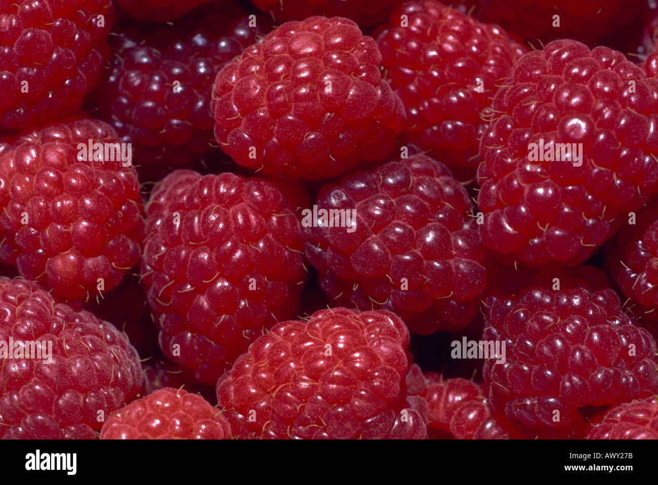 Pack of raspberries hi-res stock photography and images - Alamy