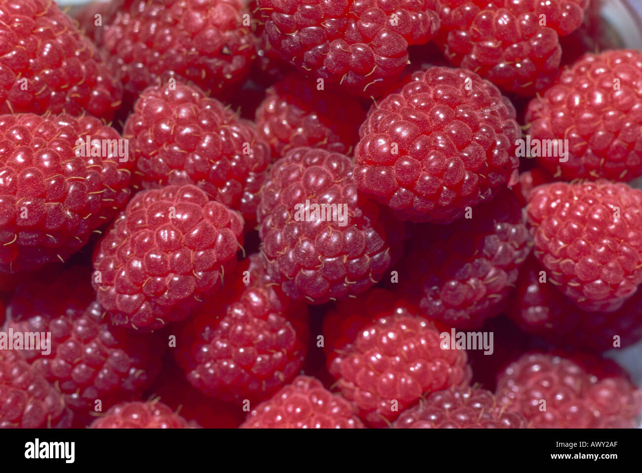 Pack of raspberries hi-res stock photography and images - Alamy