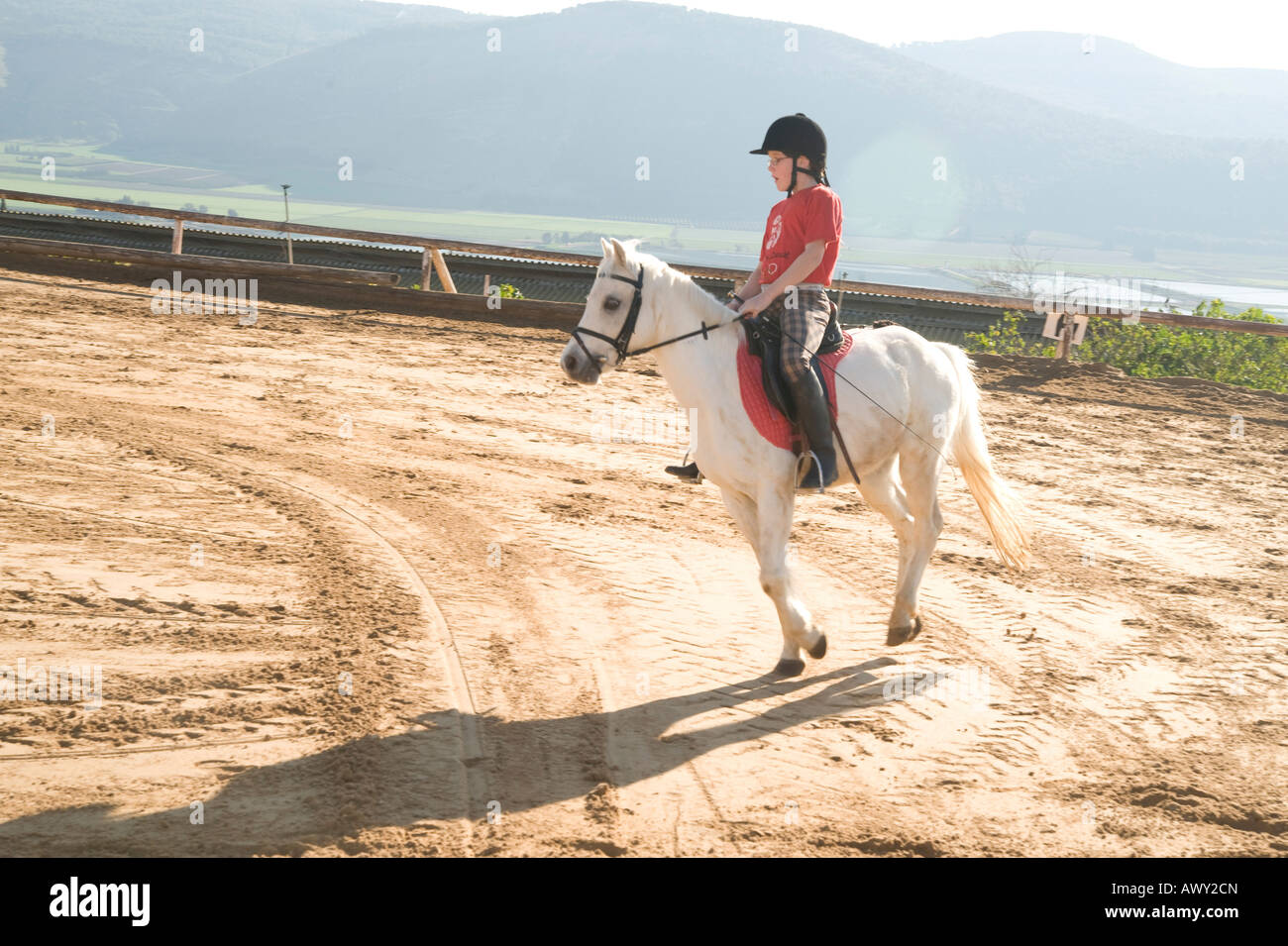 young girl of eight riding a White pony in a corral Stock Photo - Alamy