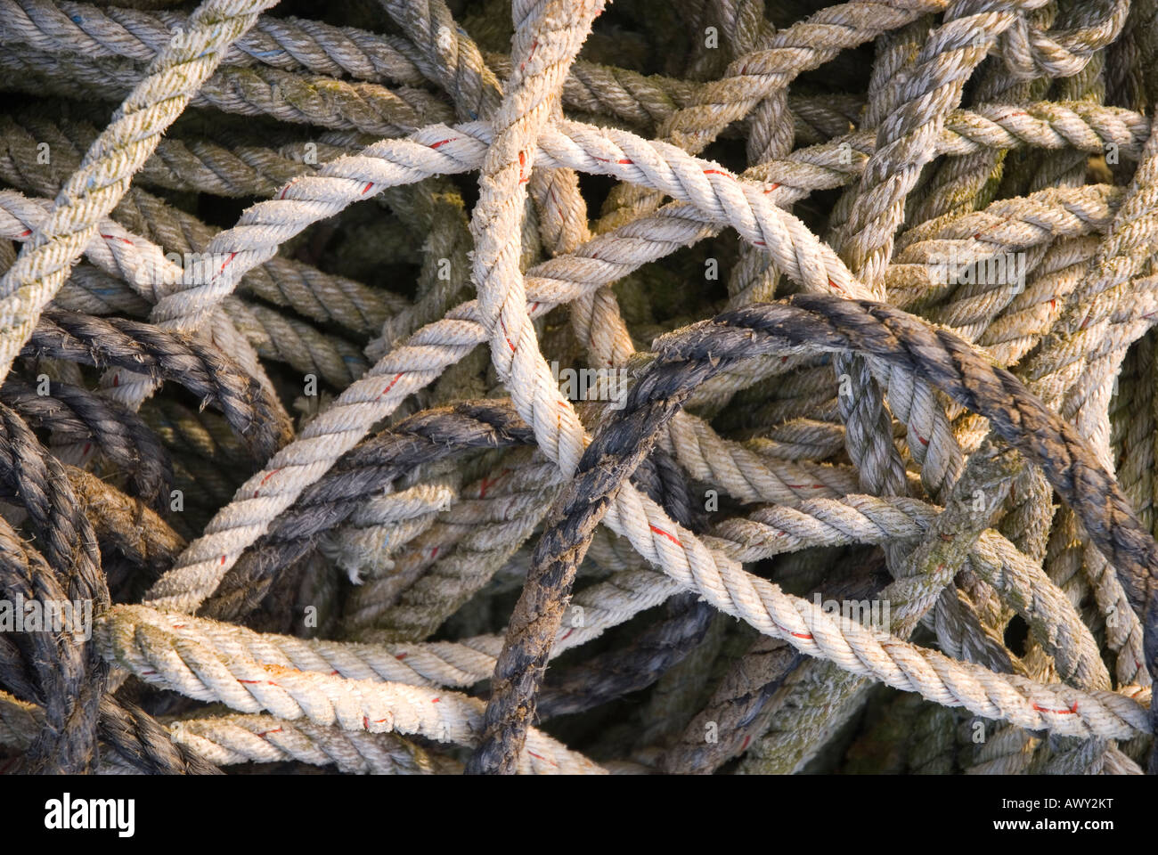 This is a pile of ropes next on the docks next to a lobster boat in ...