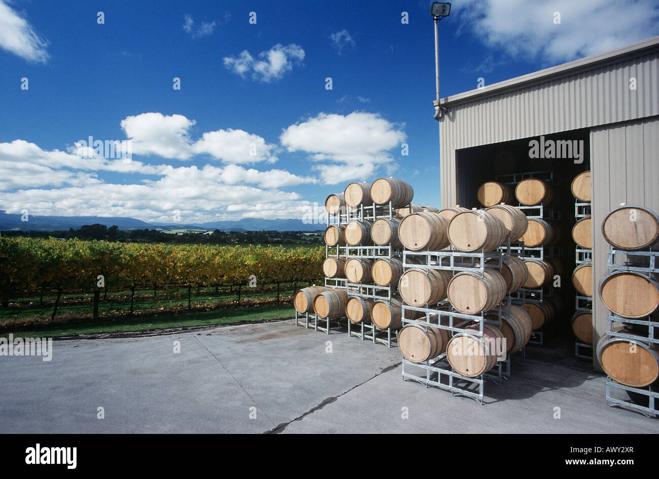 Wine stored in barrels at wineyard, Yarra Valley, Victoria, Australia ...