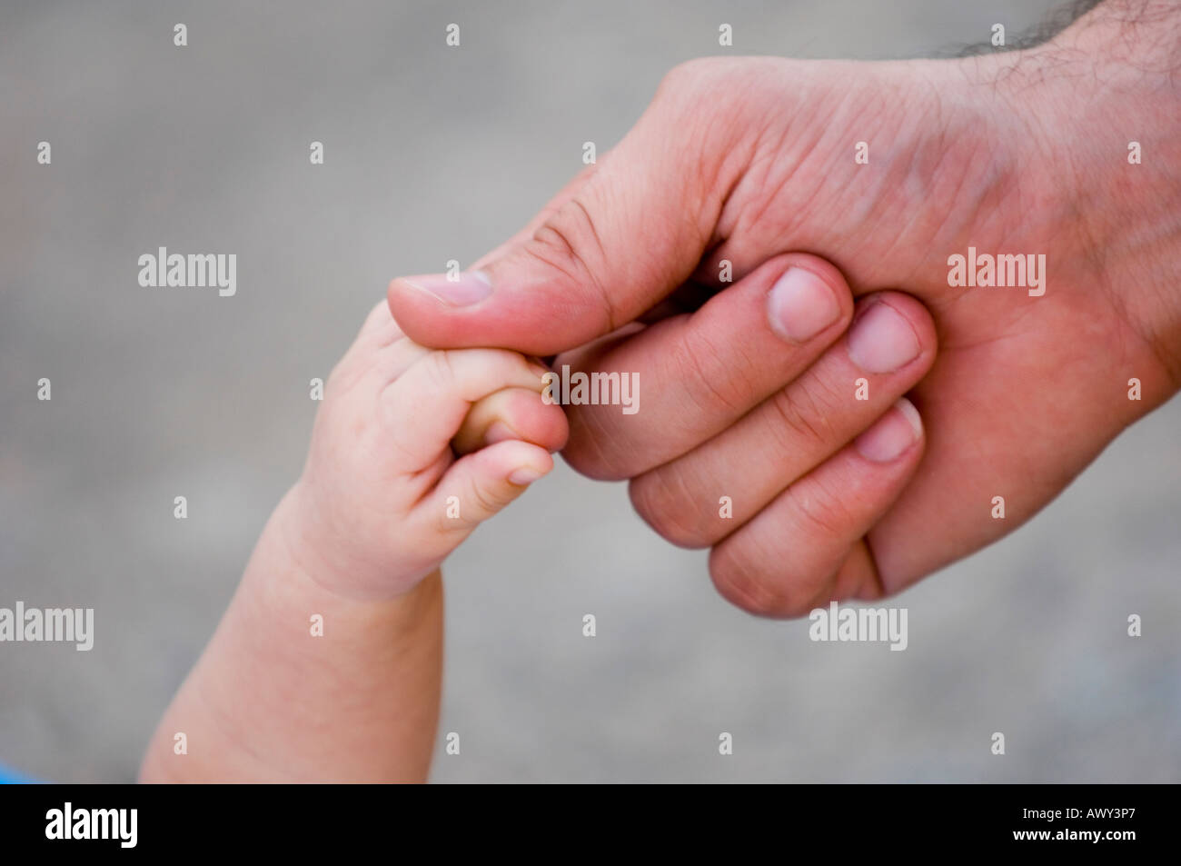 Father and newborn hands Stock Photo - Alamy