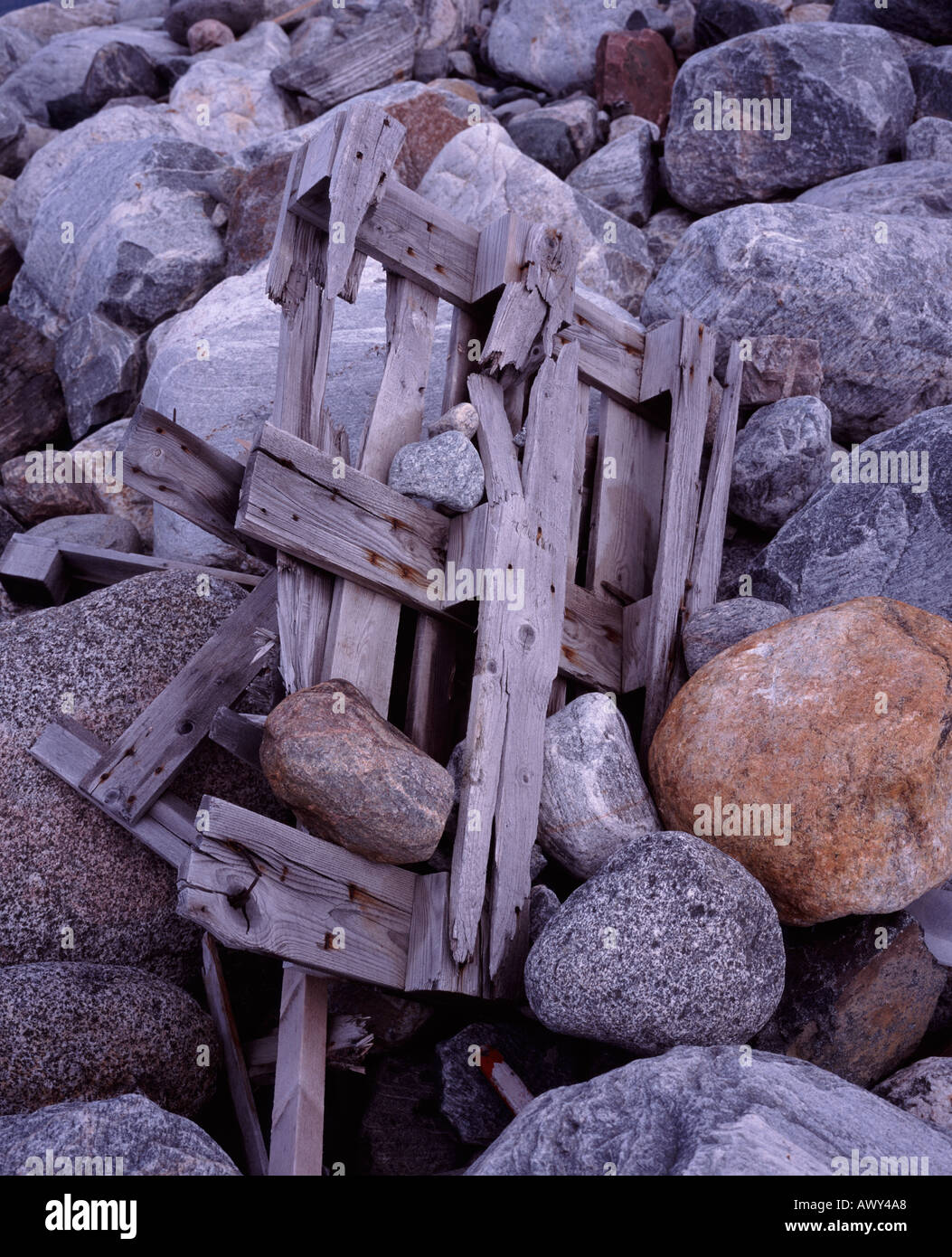 Driftwood on pebble beach on Norwegian coast at Kirkenes Stock Photo ...