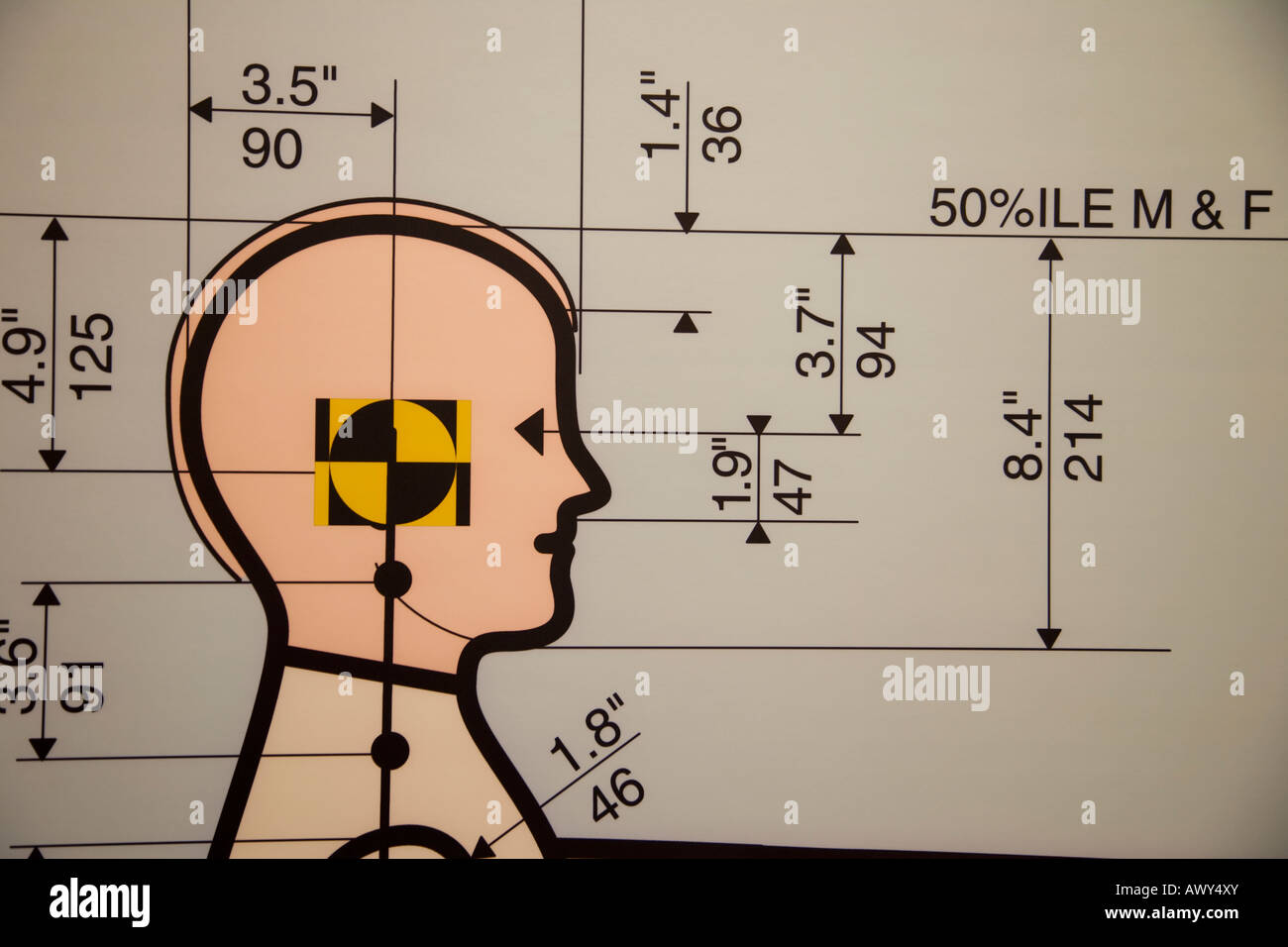 Usa Safety puppet Stock Photo - Alamy