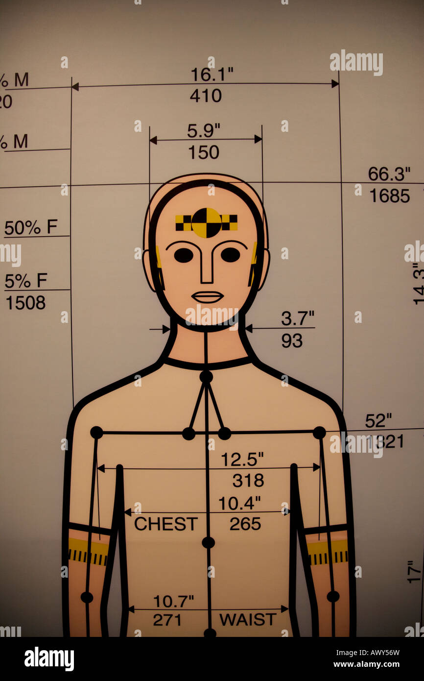 Usa Safety puppet Stock Photo - Alamy