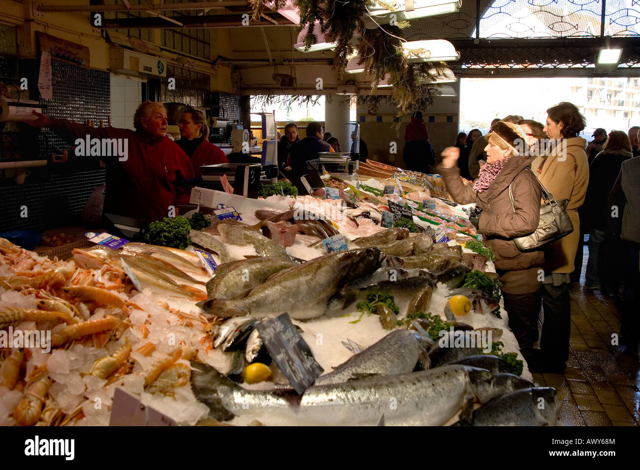 Fresh Fish on display Saturday Market in centre of Le Touquet Northern ...