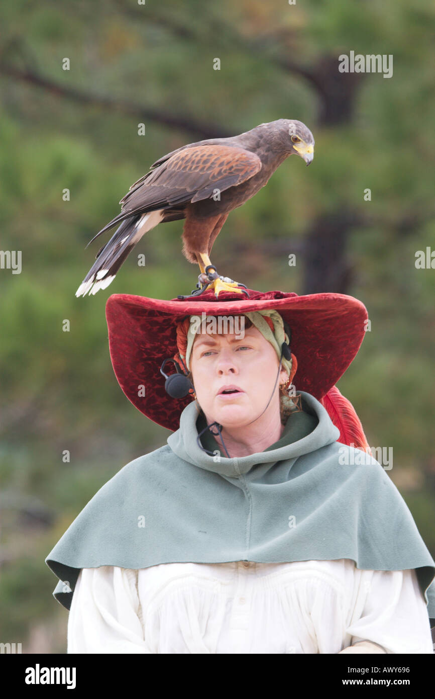 Master and eagle class falconer Kitty Tolson Carroll at the Louisiana ...