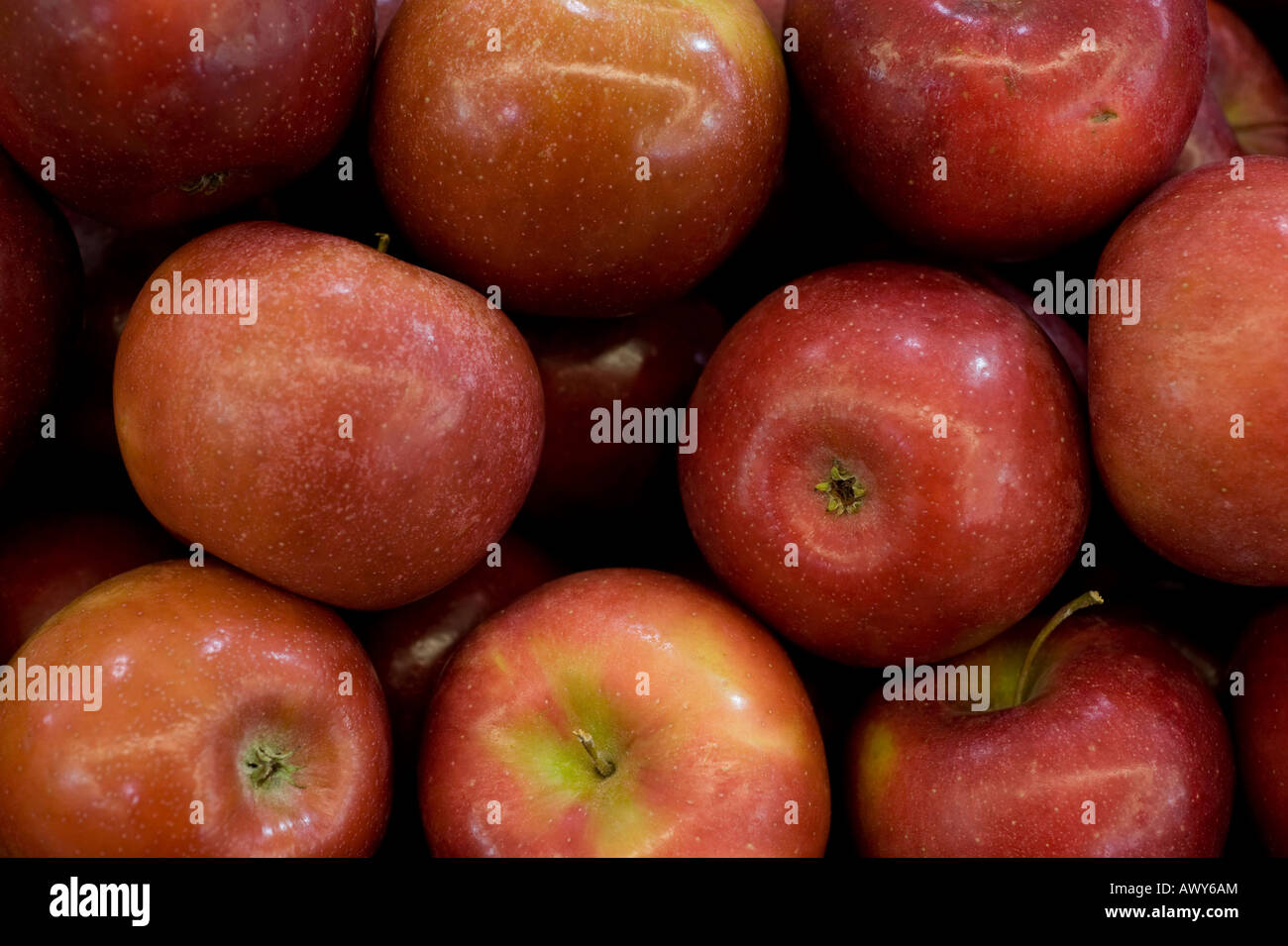 A pile of fresh ripe red Apple Stock Photo - Alamy