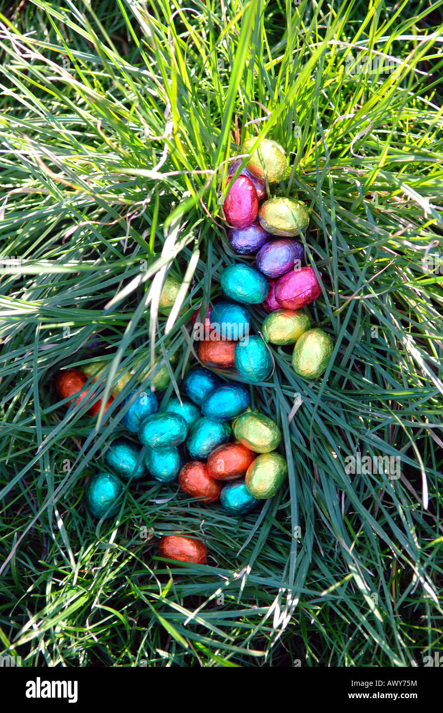 Egg hunt easter usa not seals hi-res stock photography and images - Alamy