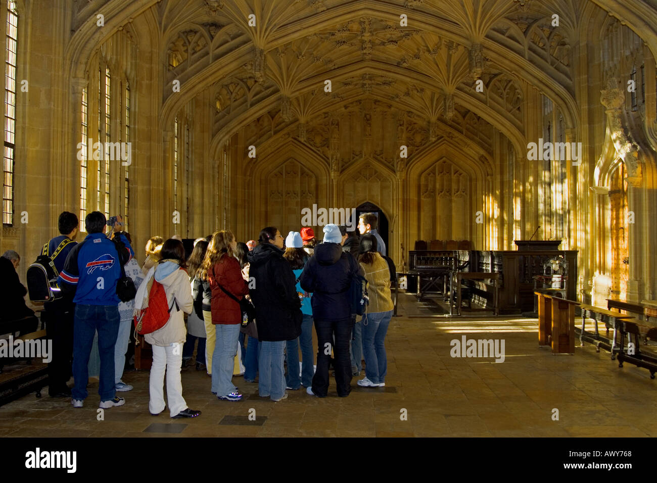 The Divinity School - Bodleian Library - Oxford Stock Photo - Alamy