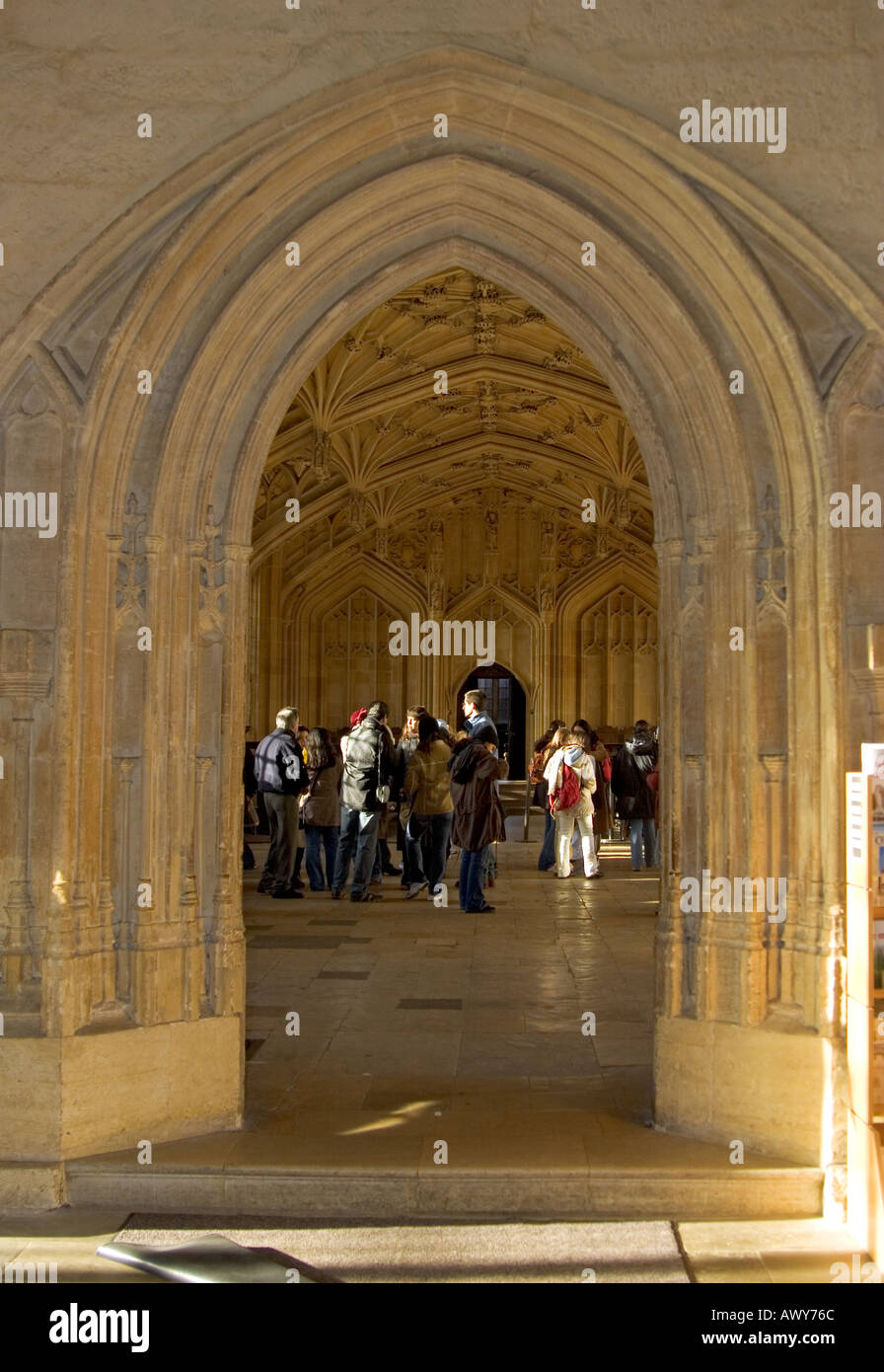 The Divinity Schools - Bodleian Library - Oxford Stock Photo - Alamy