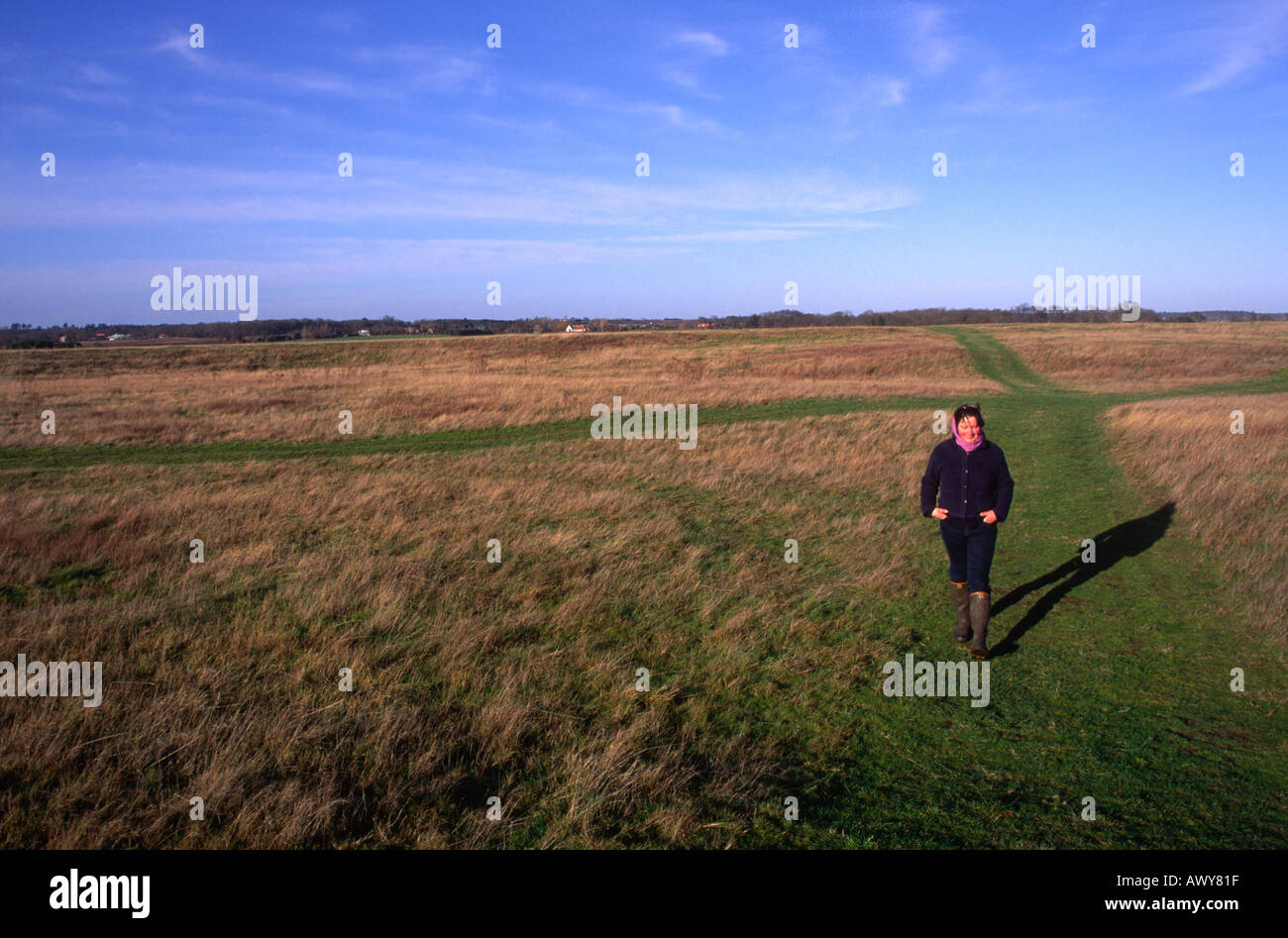Country walk Suffolk England Stock Photo - Alamy