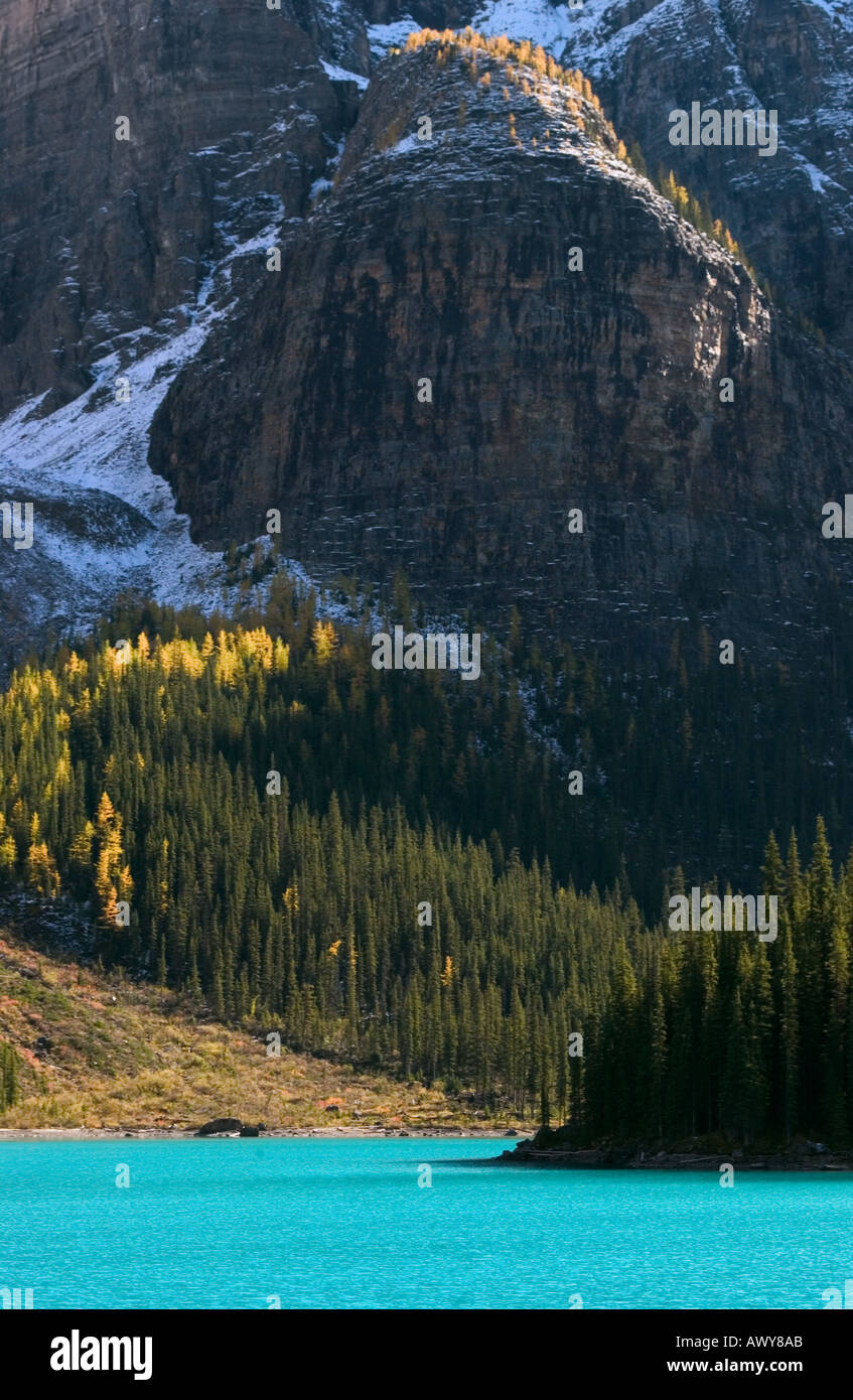 Fall in Banff National Park Alberta Stock Photo - Alamy