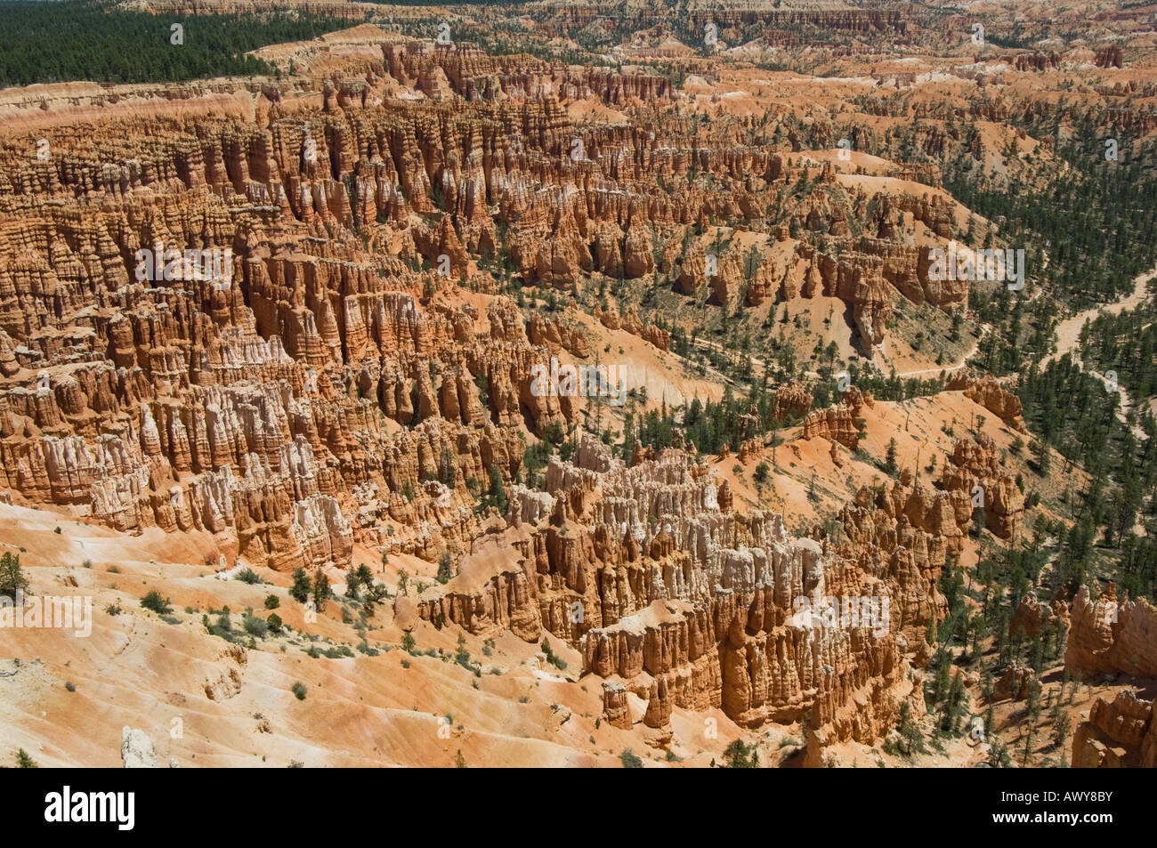 Bryce Amphitheatre from Inspiration Point, Bryce Canyon Stock Photo - Alamy