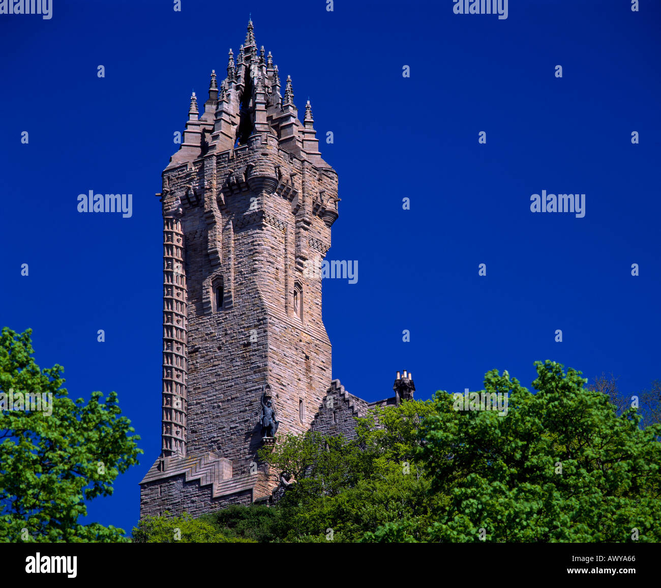 The National Wallace Monument on Abbey Craig, Stirling, Scotland, UK ...