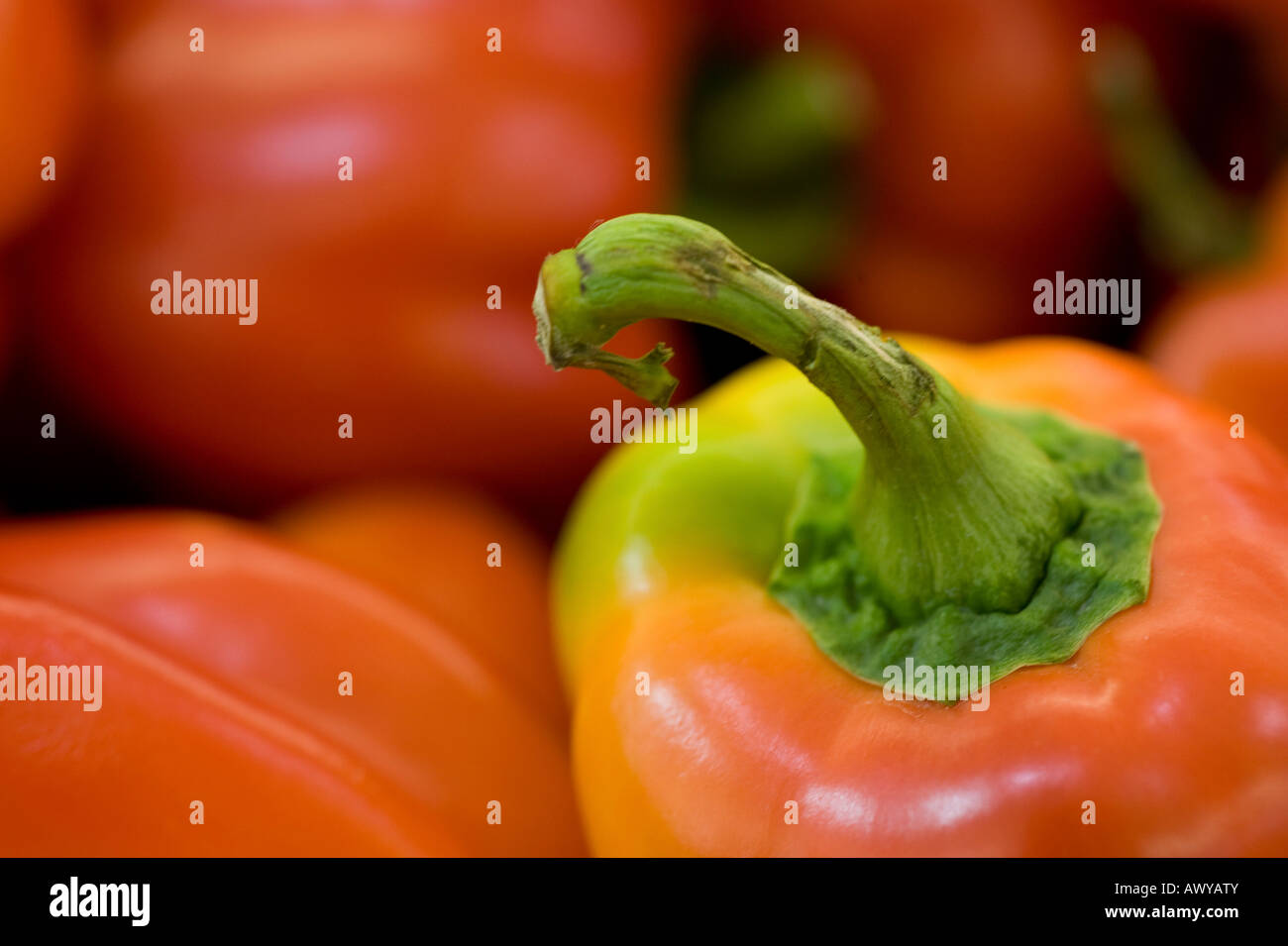 A pile of fresh ripe red Bell pepper Capsicum annuum Stock Photo - Alamy