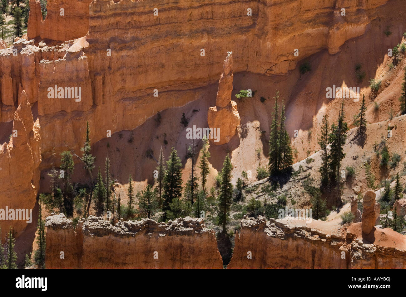 Bryce Canyon from Inspiration Point, Utah Stock Photo - Alamy