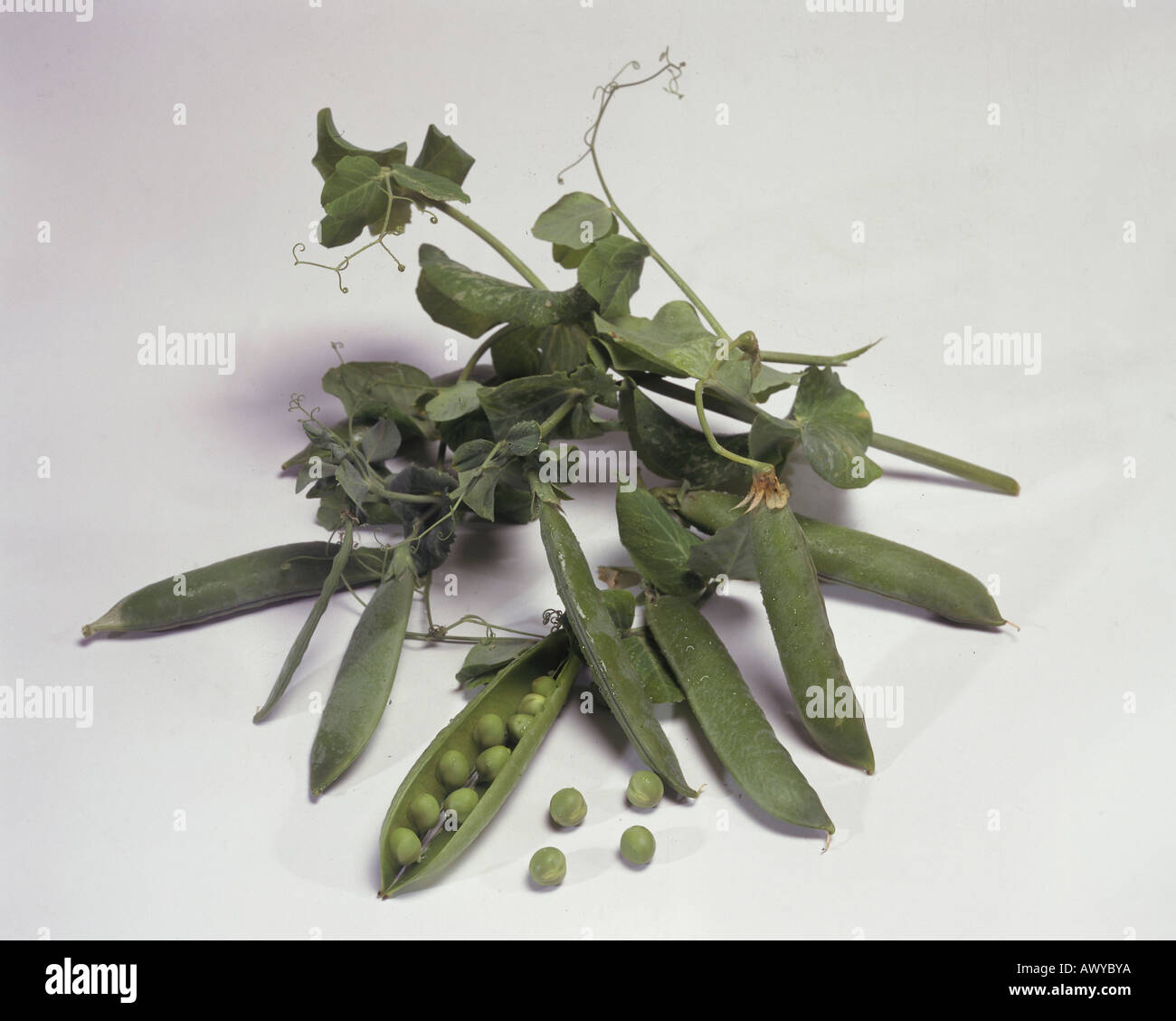 Peas legumen hi-res stock photography and images - Alamy